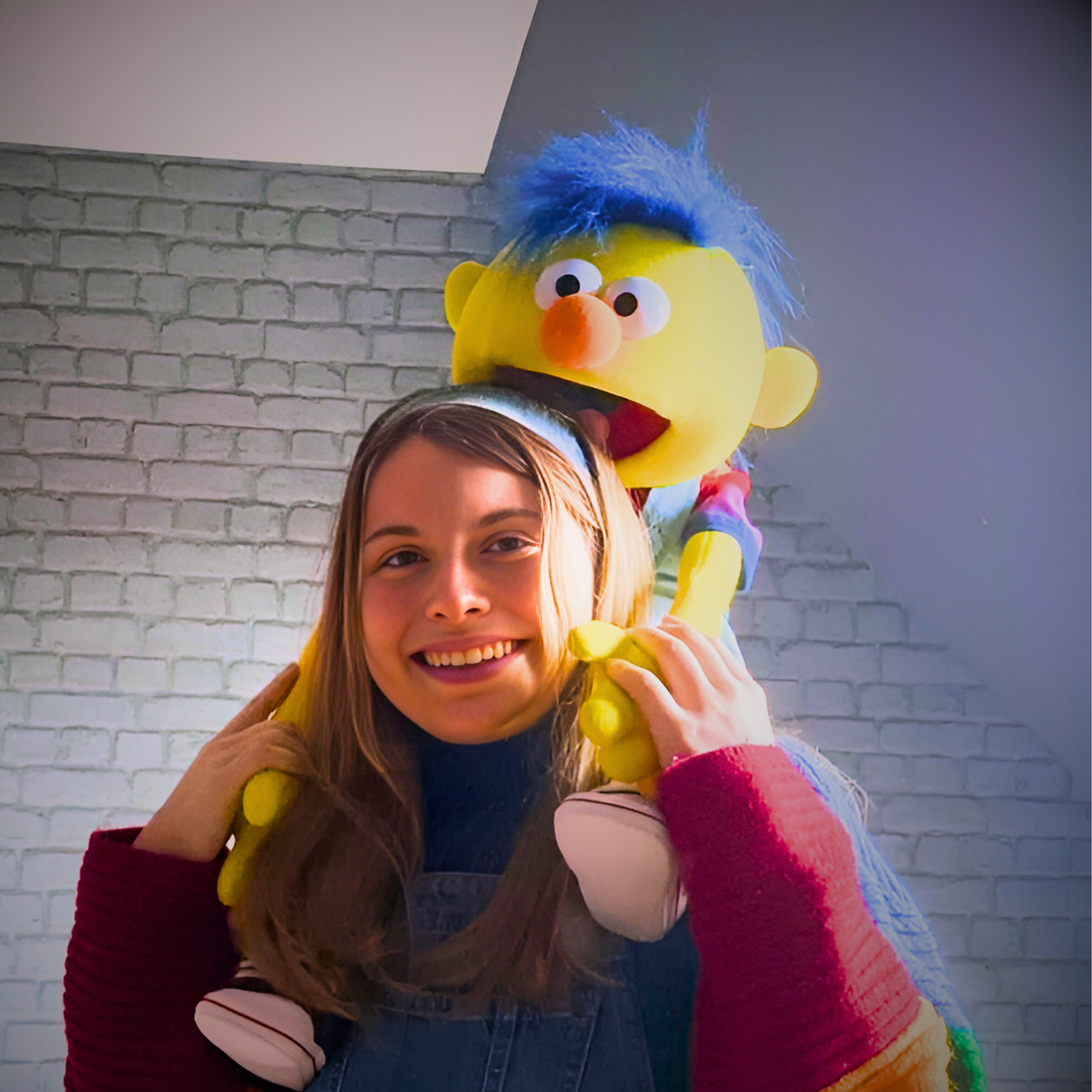 The World of Pubbets: Your Puppetry Adventure Begins Here! – Pubbets!